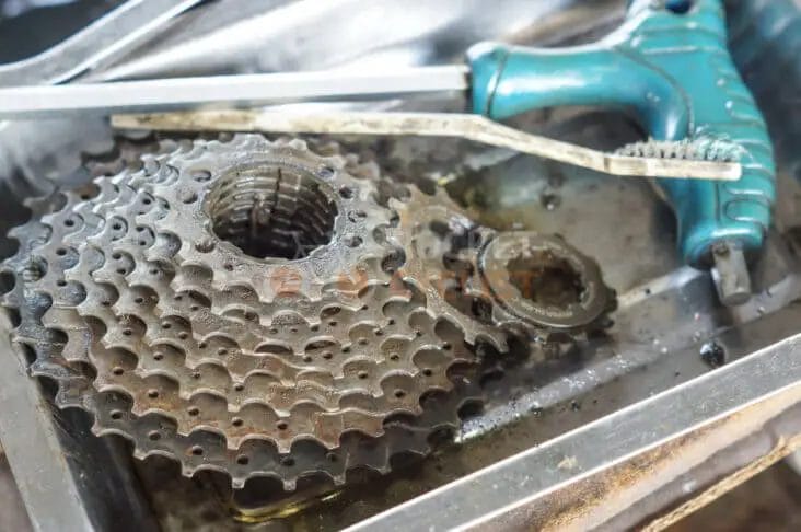 Difference Between Freewheel and Cassette – Rocket Cyclist
